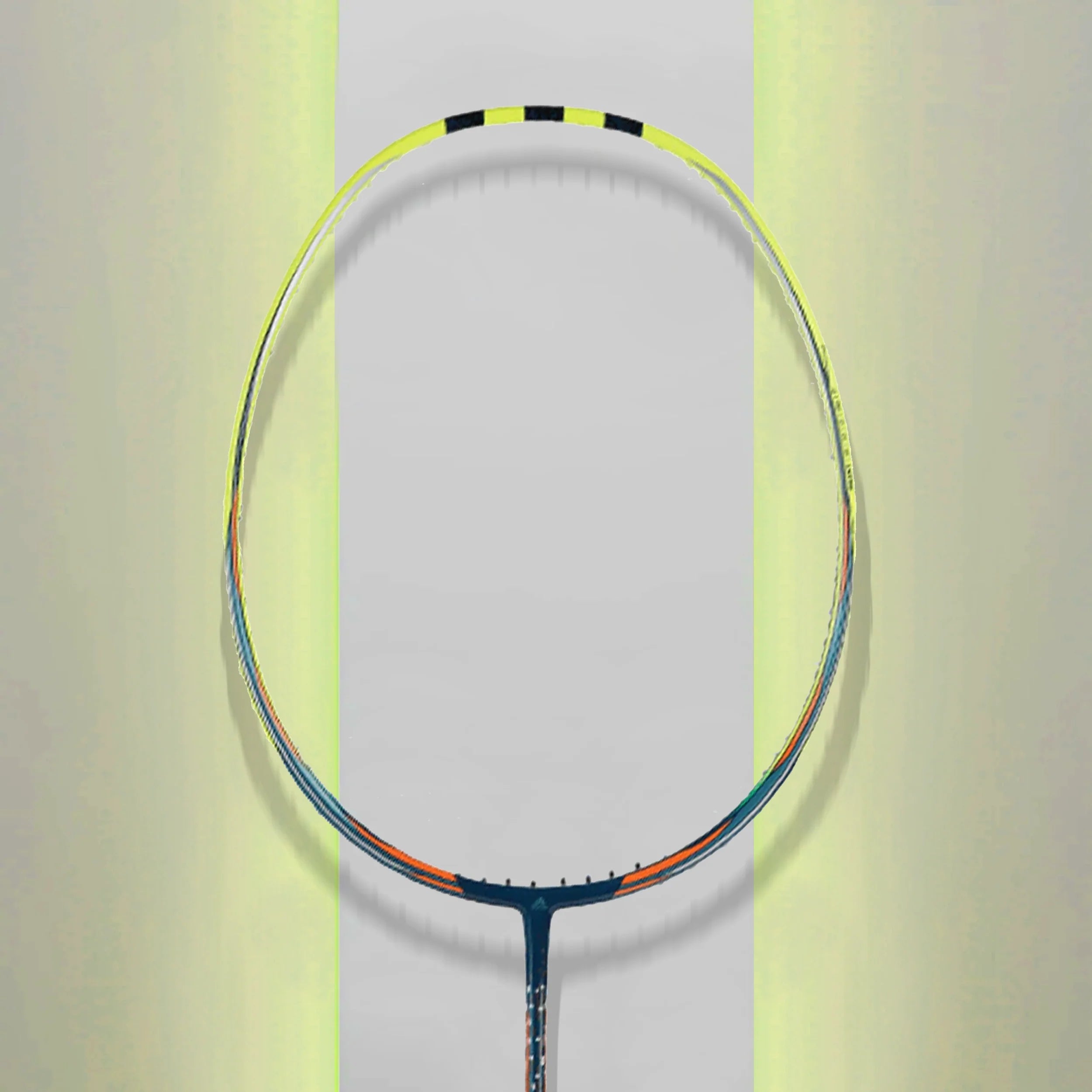 Inside the Shuttle: A Day in the Life of a Pro Badminton Athlete